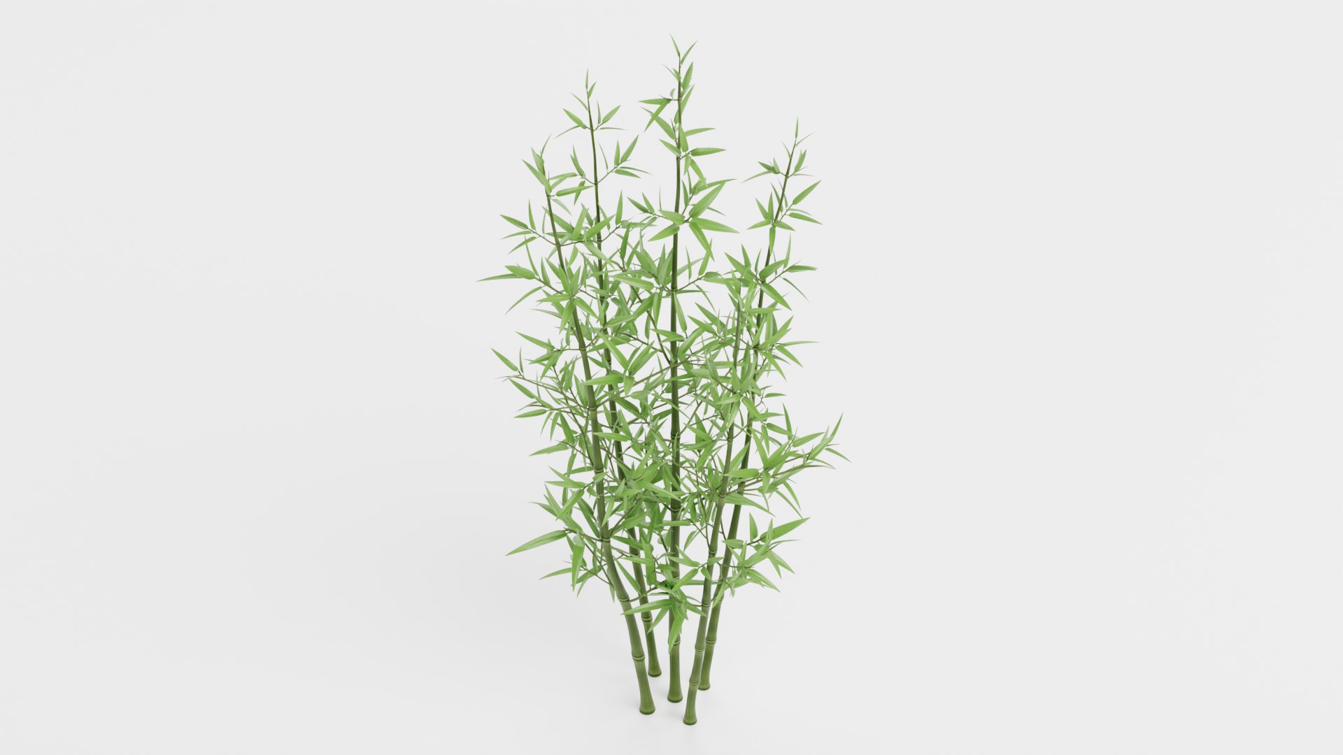 3D Model Bamboo Bush - TurboSquid 2226257