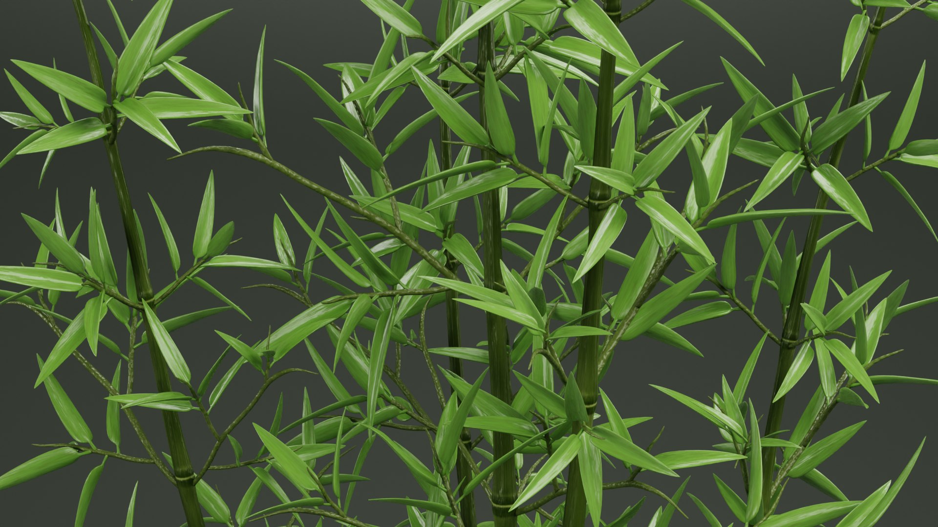 3D Model Bamboo Bush - TurboSquid 2226257
