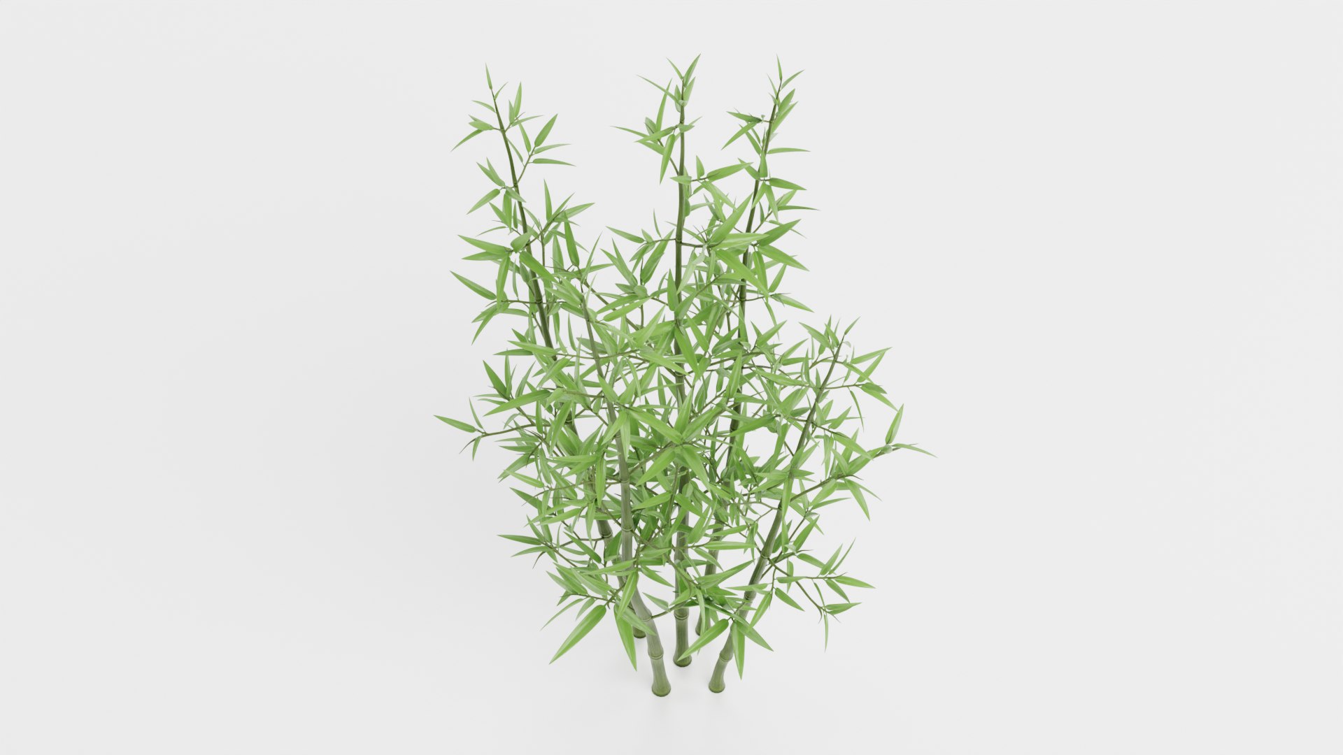 3D Model Bamboo Bush - TurboSquid 2226257