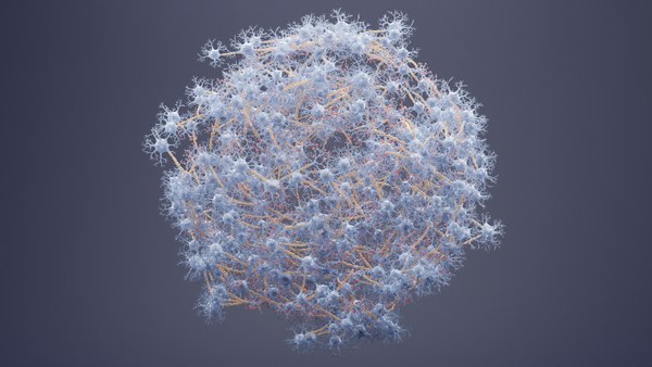 3D Neural Network 1 - TurboSquid 1769800