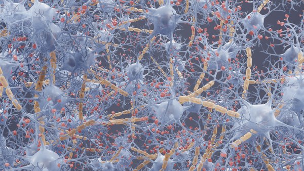 3D Neural Network 1 - TurboSquid 1769800