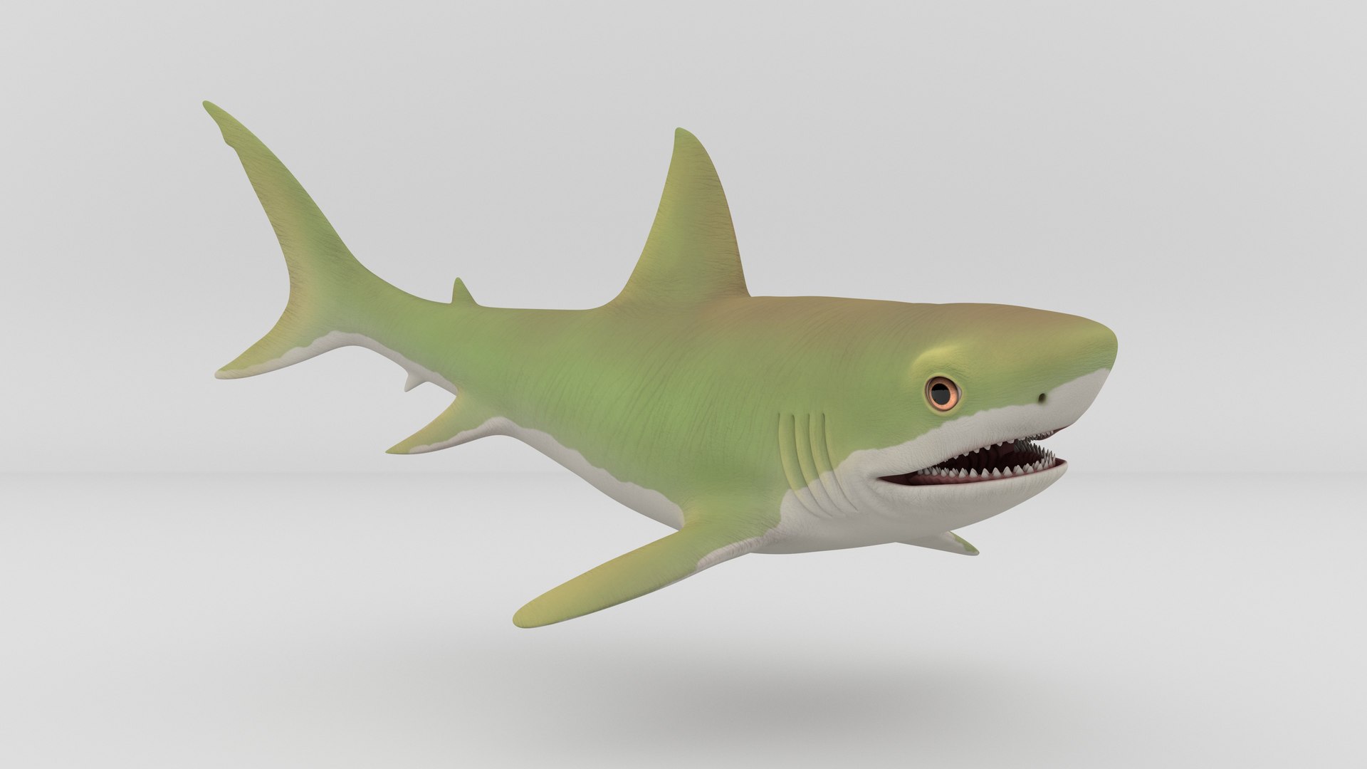 Shark ANIMATED 3D Model - TurboSquid 1986814