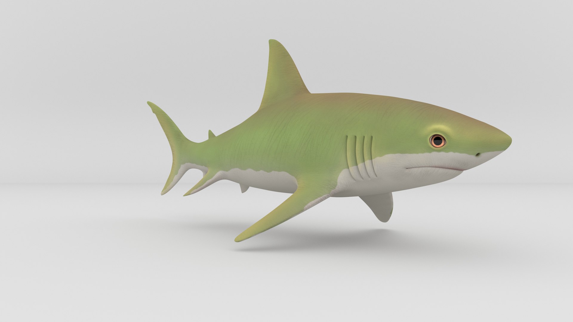 Shark ANIMATED 3D Model - TurboSquid 1986814