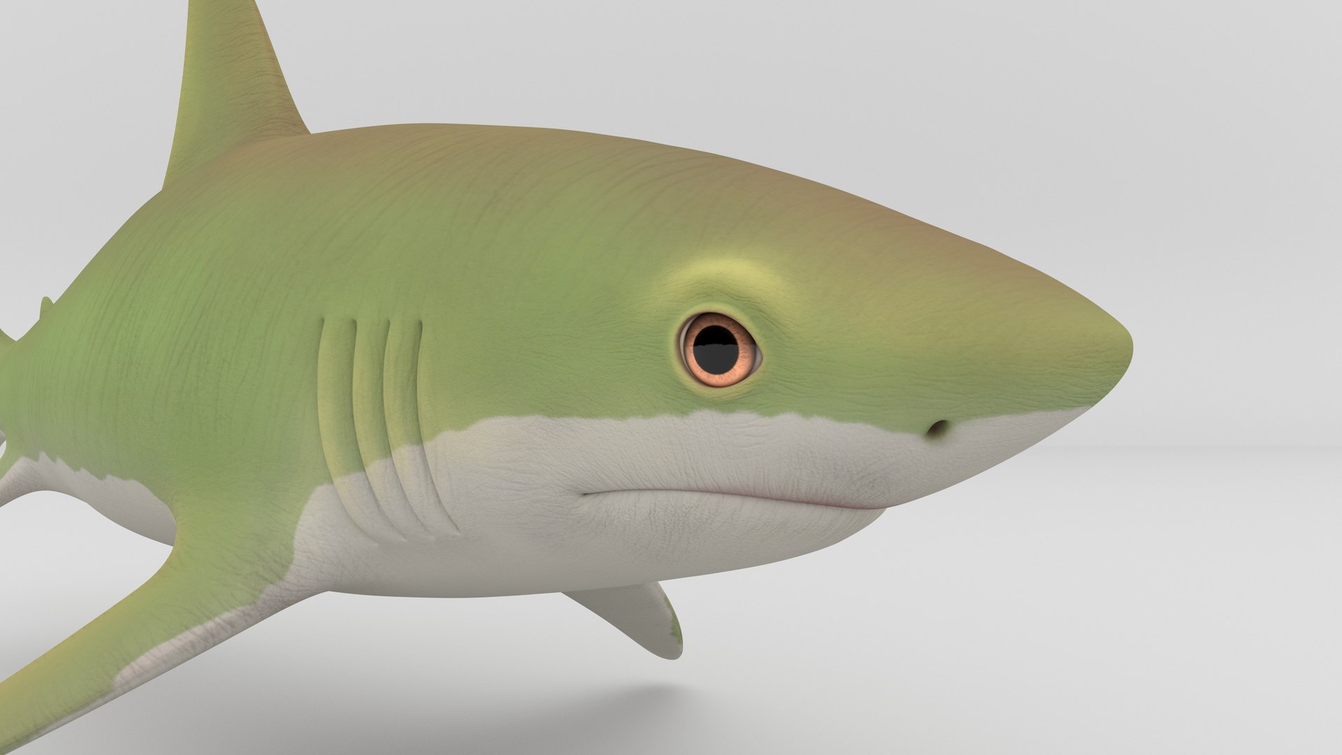 Shark ANIMATED 3D Model - TurboSquid 1986814