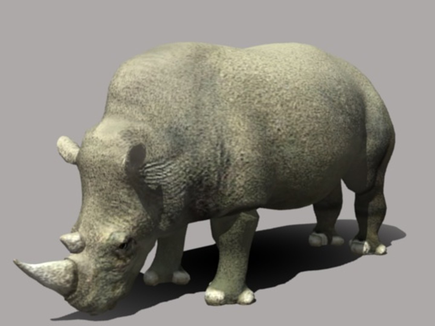 3d 3ds Rhino