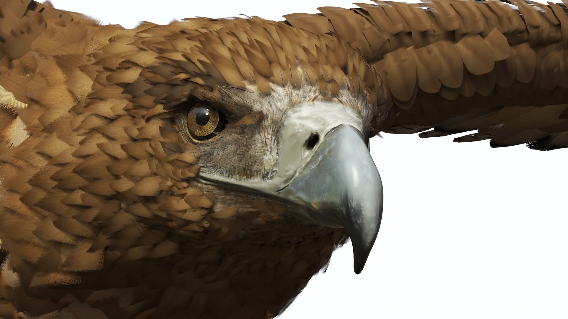 3D Realistic Flying Gurney Eagle Model - TurboSquid 2250495