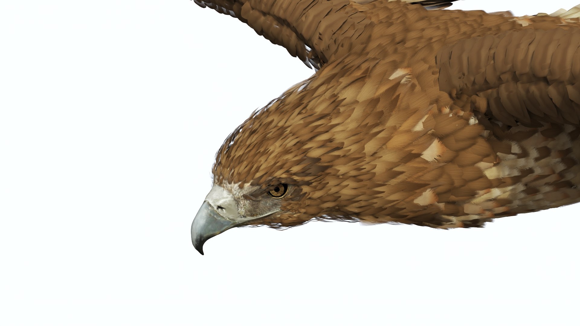 3D Realistic Flying Gurney Eagle Model - TurboSquid 2250495