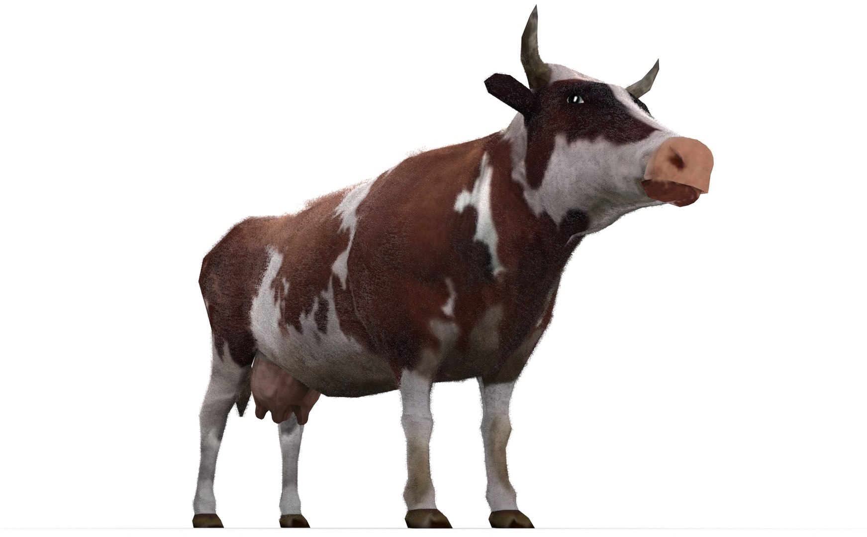 3D Cow Rendered Model - TurboSquid 1576513