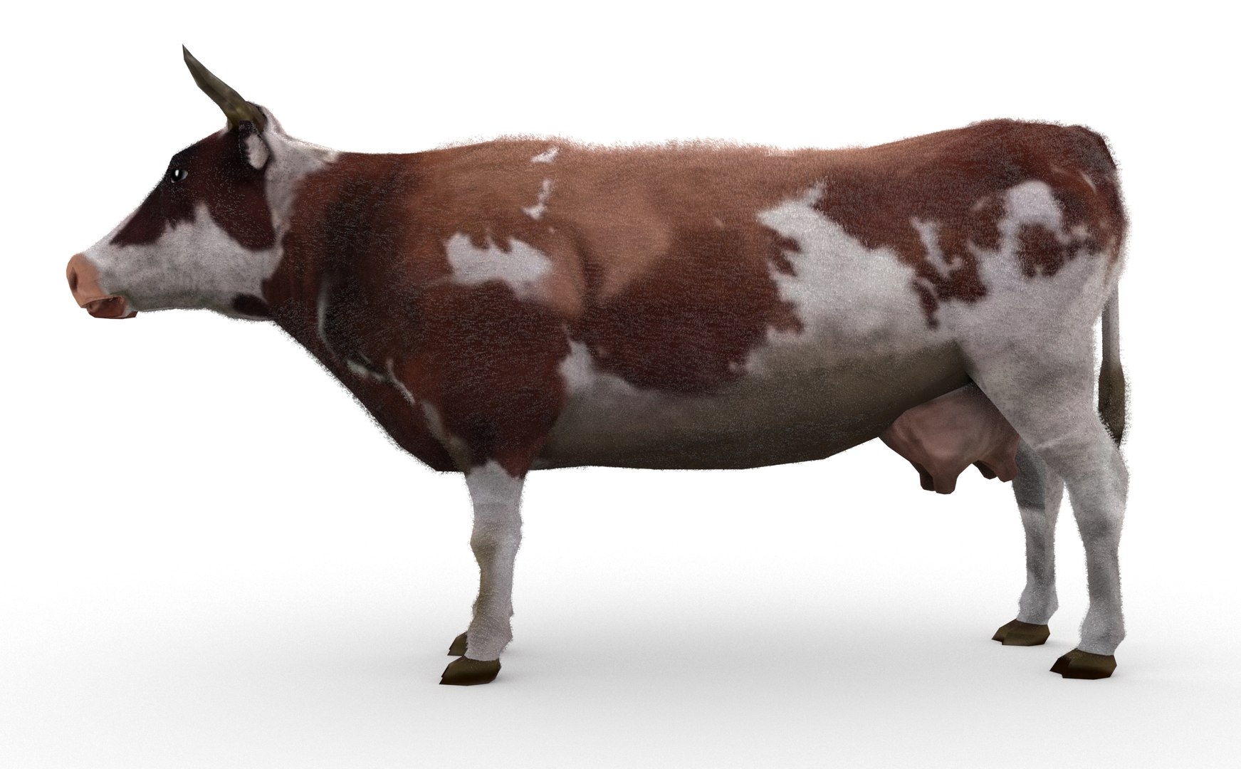 3D Cow Rendered Model - TurboSquid 1576513