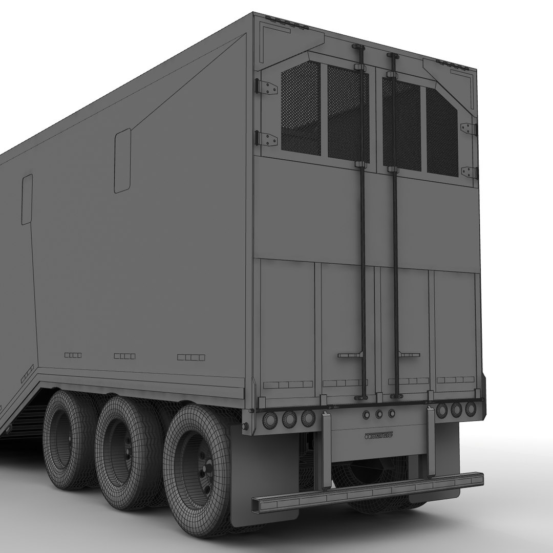 3d 53ft Chip Van Manac