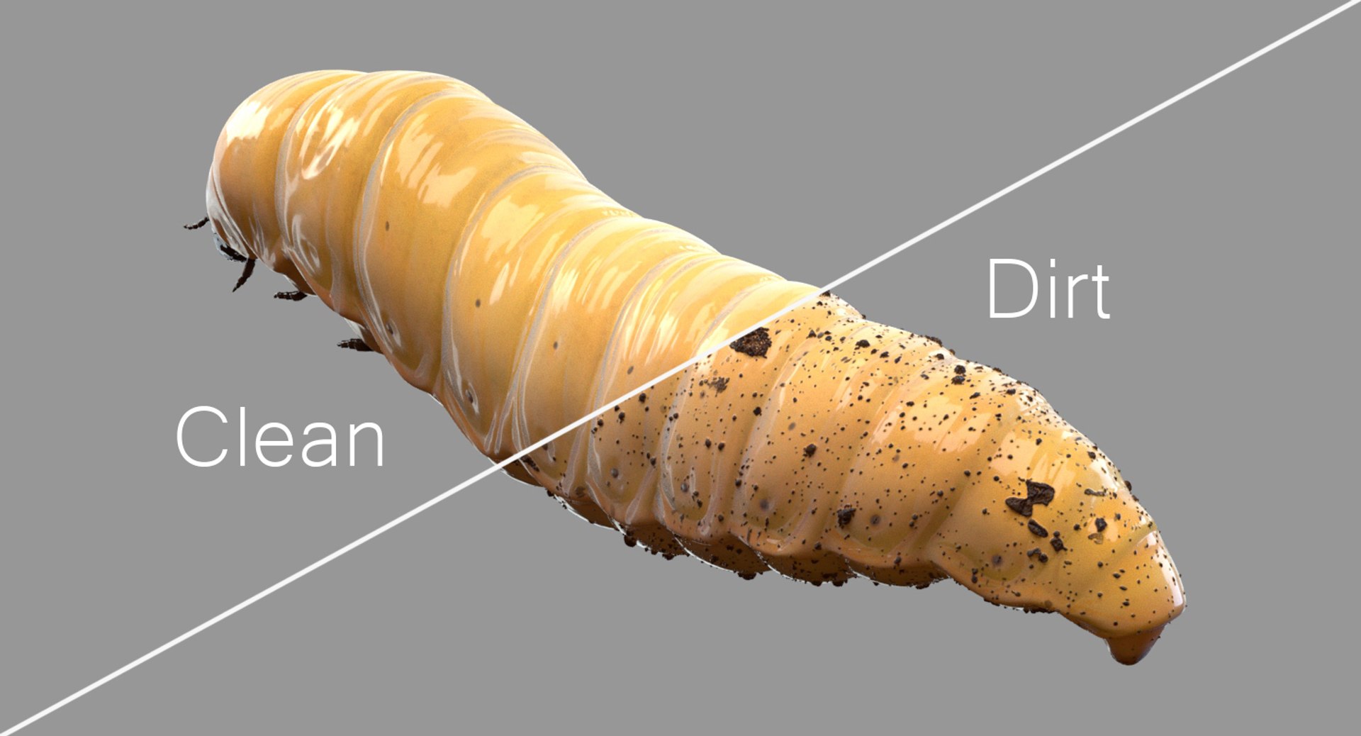 3D realistic maggot - TurboSquid 1425173