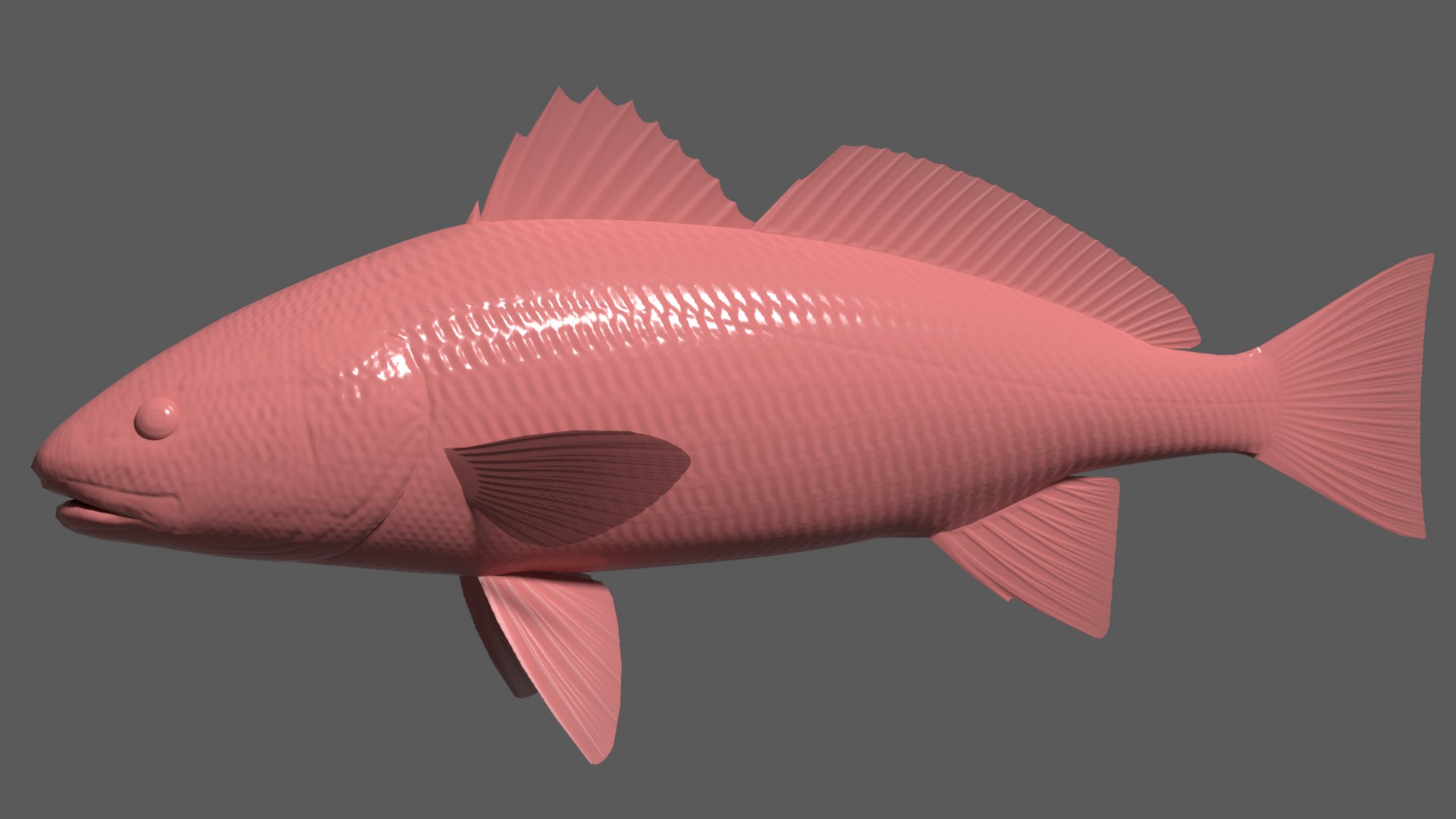3ds Red Drum