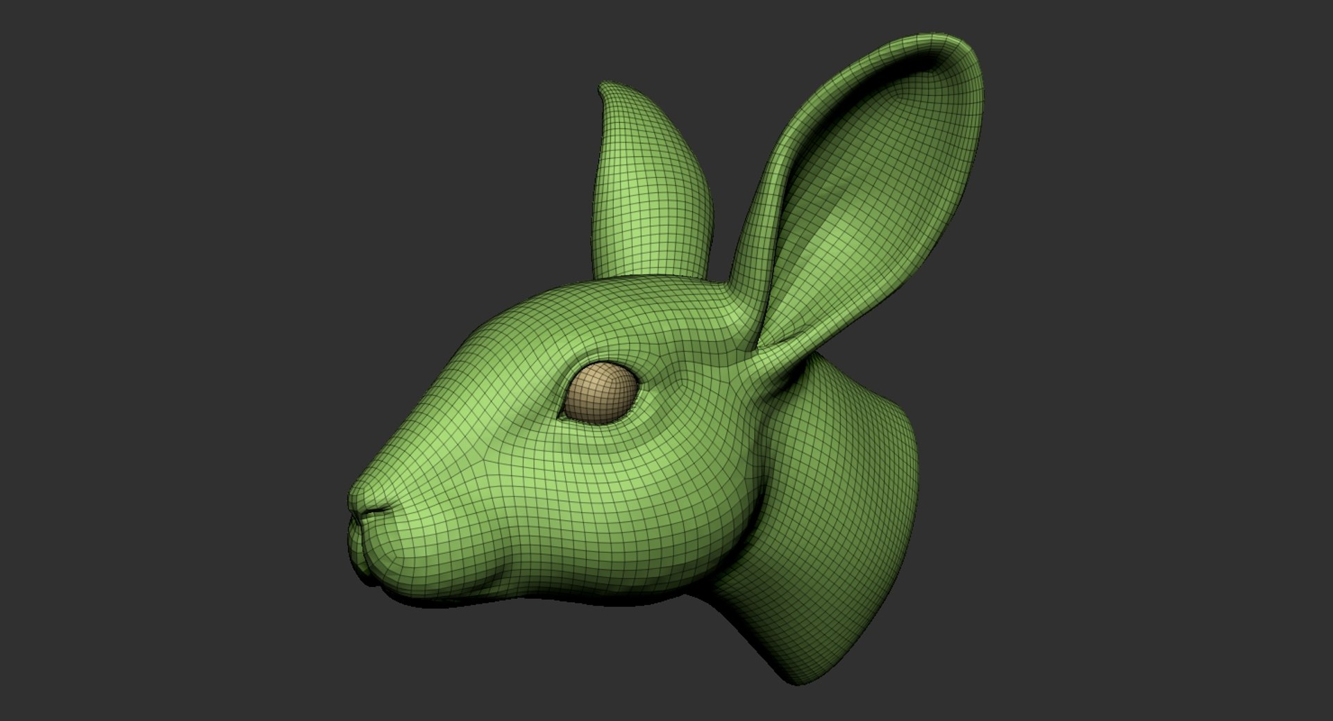 Rabbit Head Base Mesh Model - TurboSquid 1428115