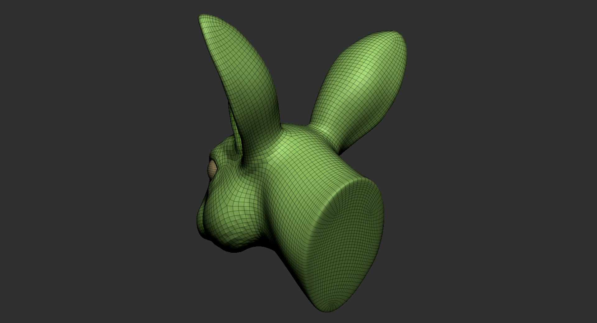 Rabbit Head Base Mesh Model - TurboSquid 1428115