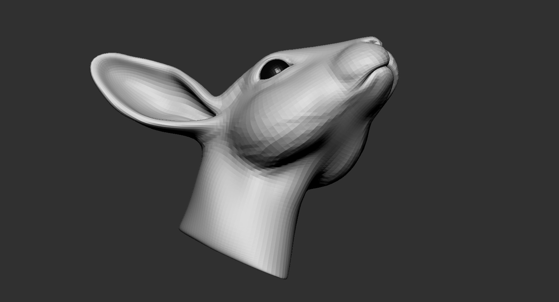 Rabbit Head Base Mesh Model - TurboSquid 1428115