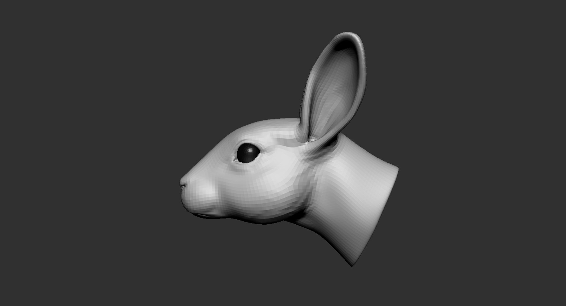 Rabbit Head Base Mesh Model - TurboSquid 1428115
