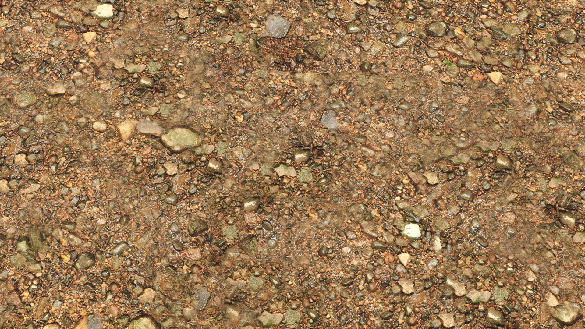 3D model River Bottom Texture - TurboSquid 1811731