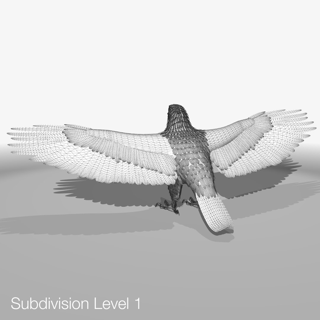 3d rigged lightwave eagle