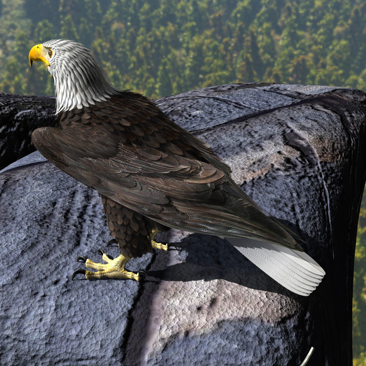 3d rigged lightwave eagle