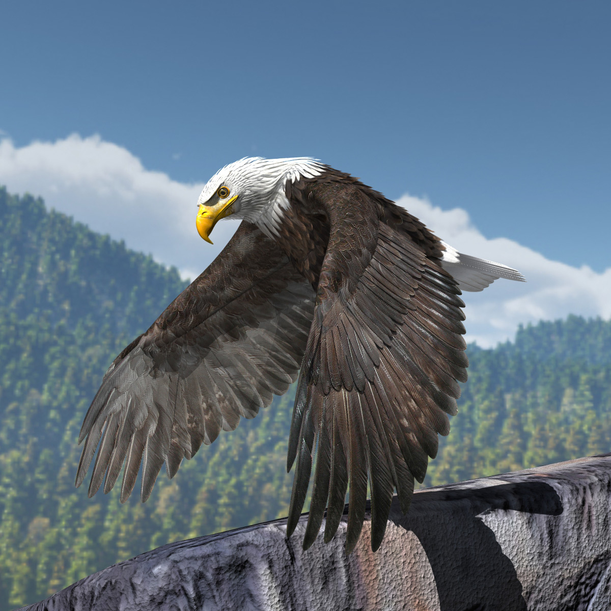 3d rigged lightwave eagle