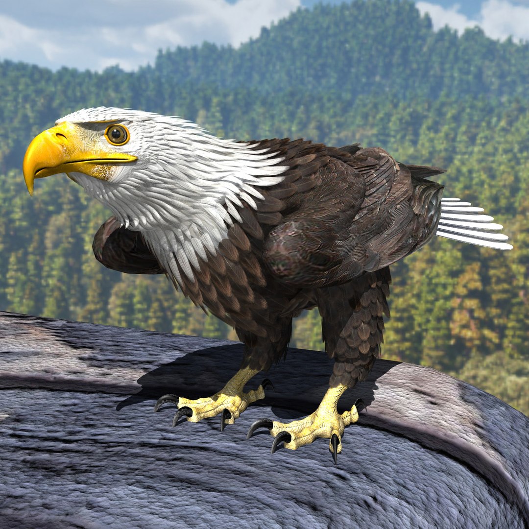 3d rigged lightwave eagle