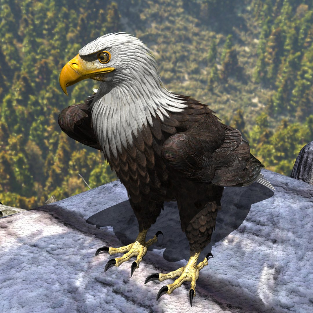 3d Rigged Lightwave Eagle