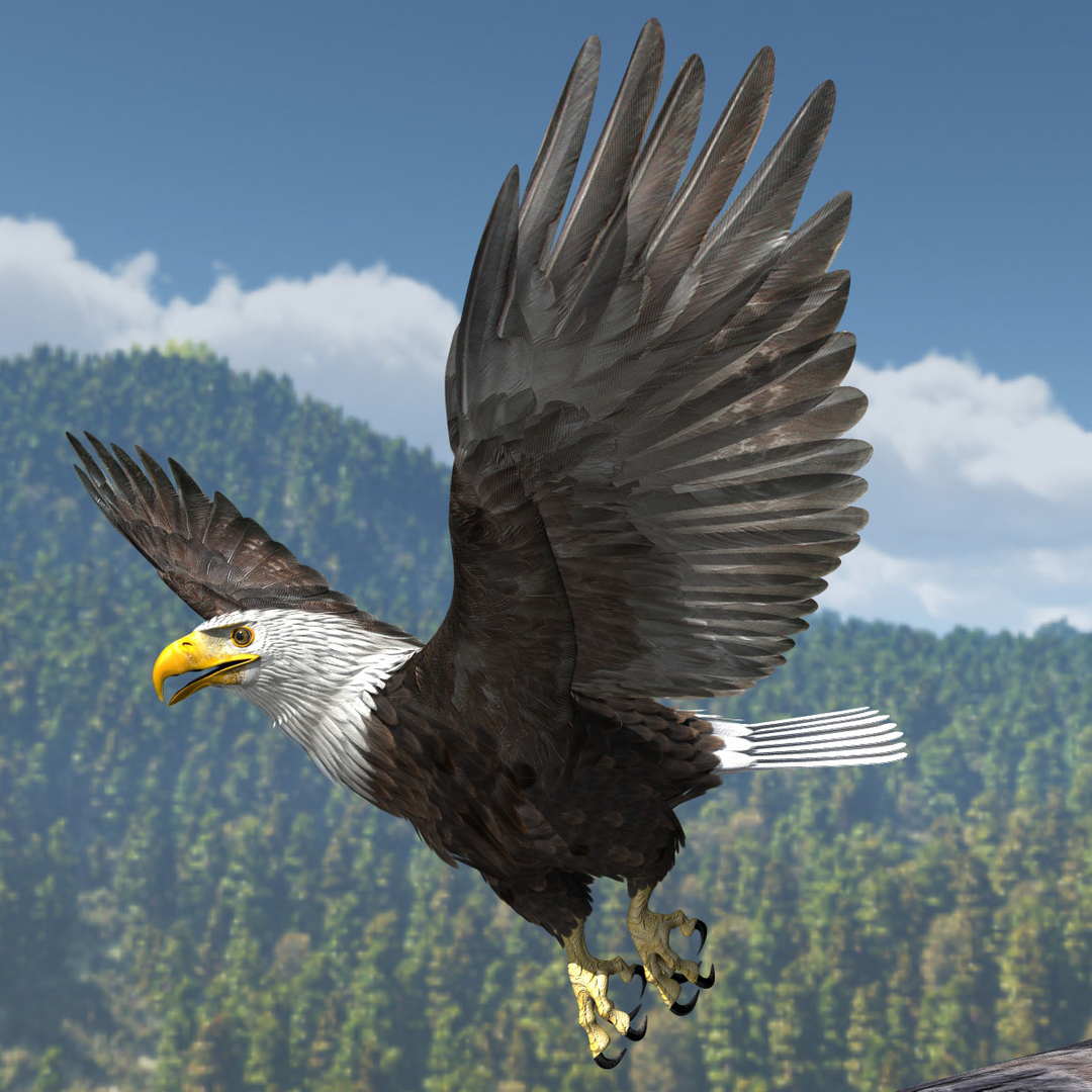 3d rigged lightwave eagle