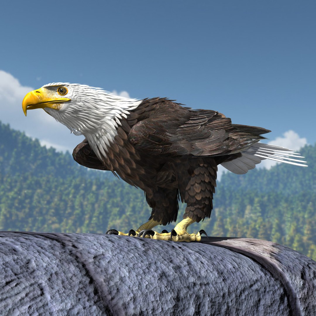 3d rigged lightwave eagle