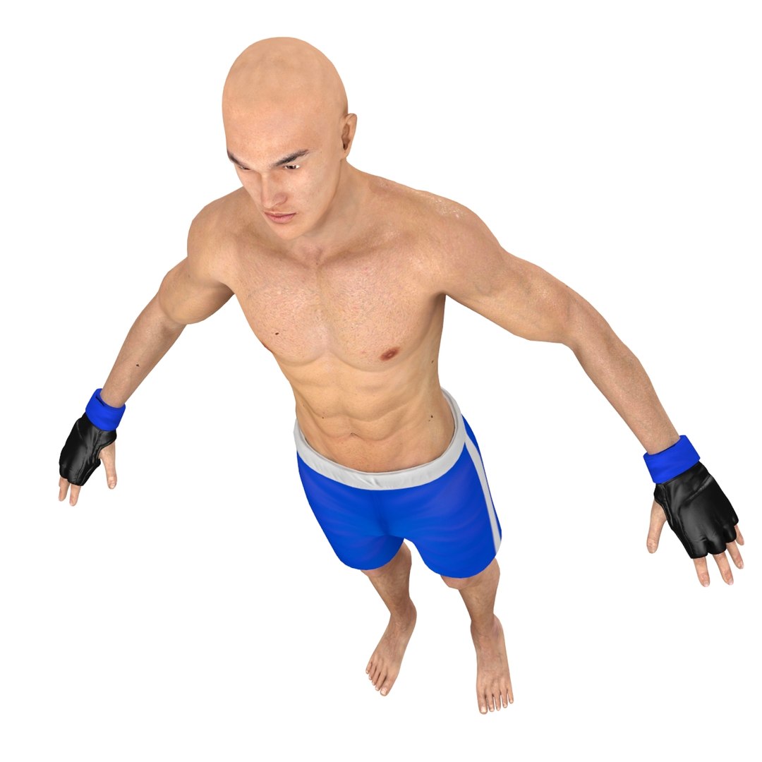 Mma Fighter 3D - TurboSquid 1289687