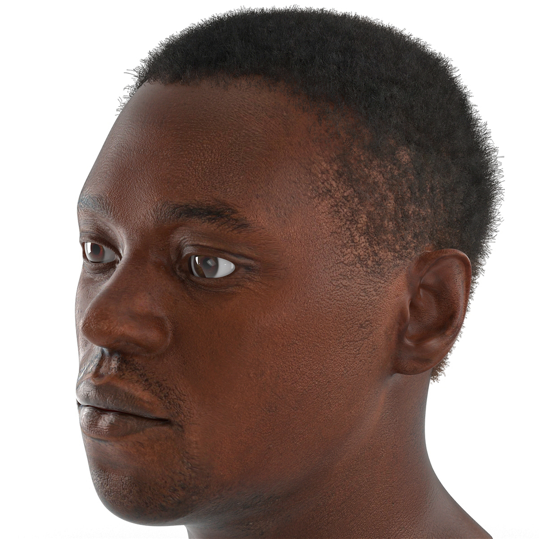 3d model african american male head