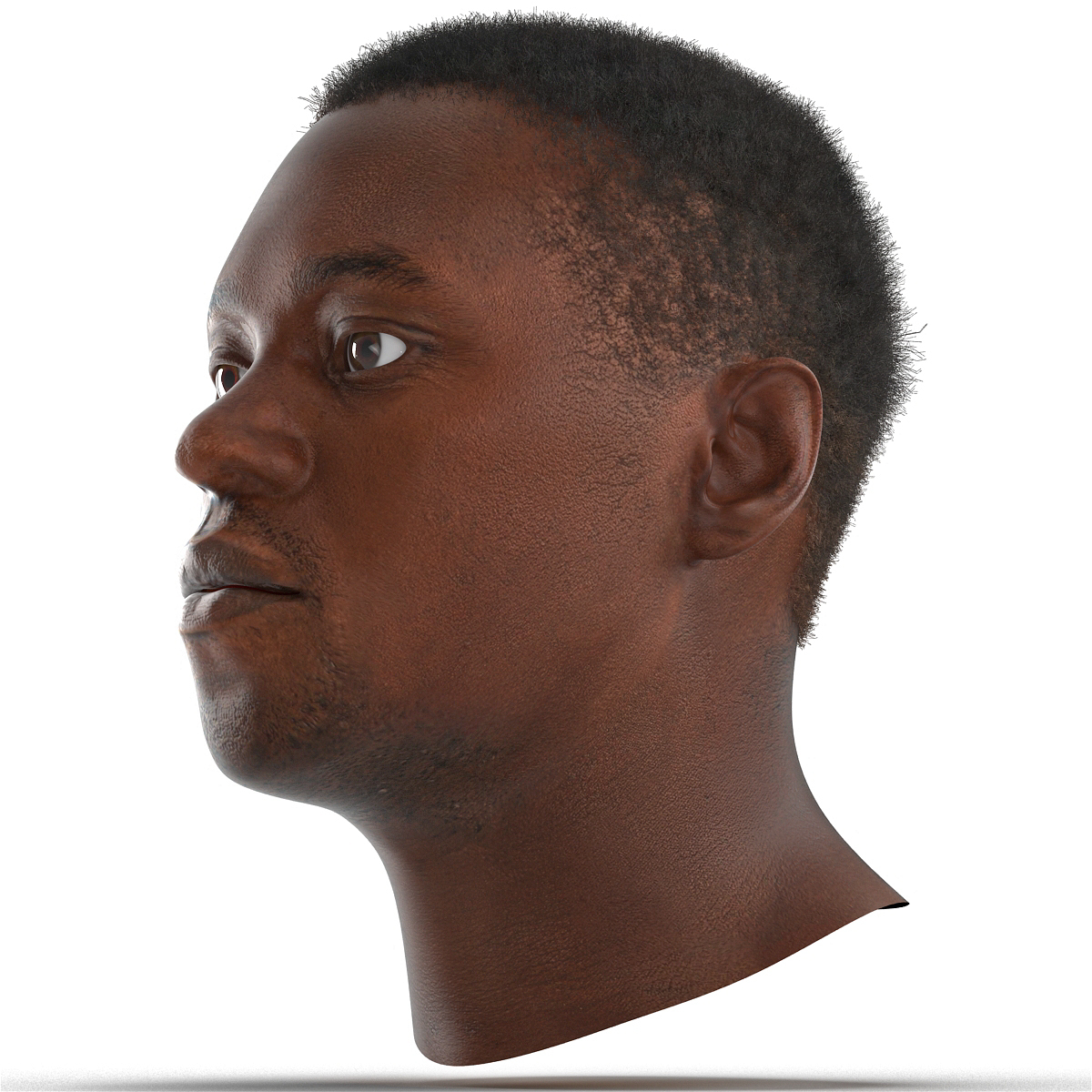 3d model african american male head