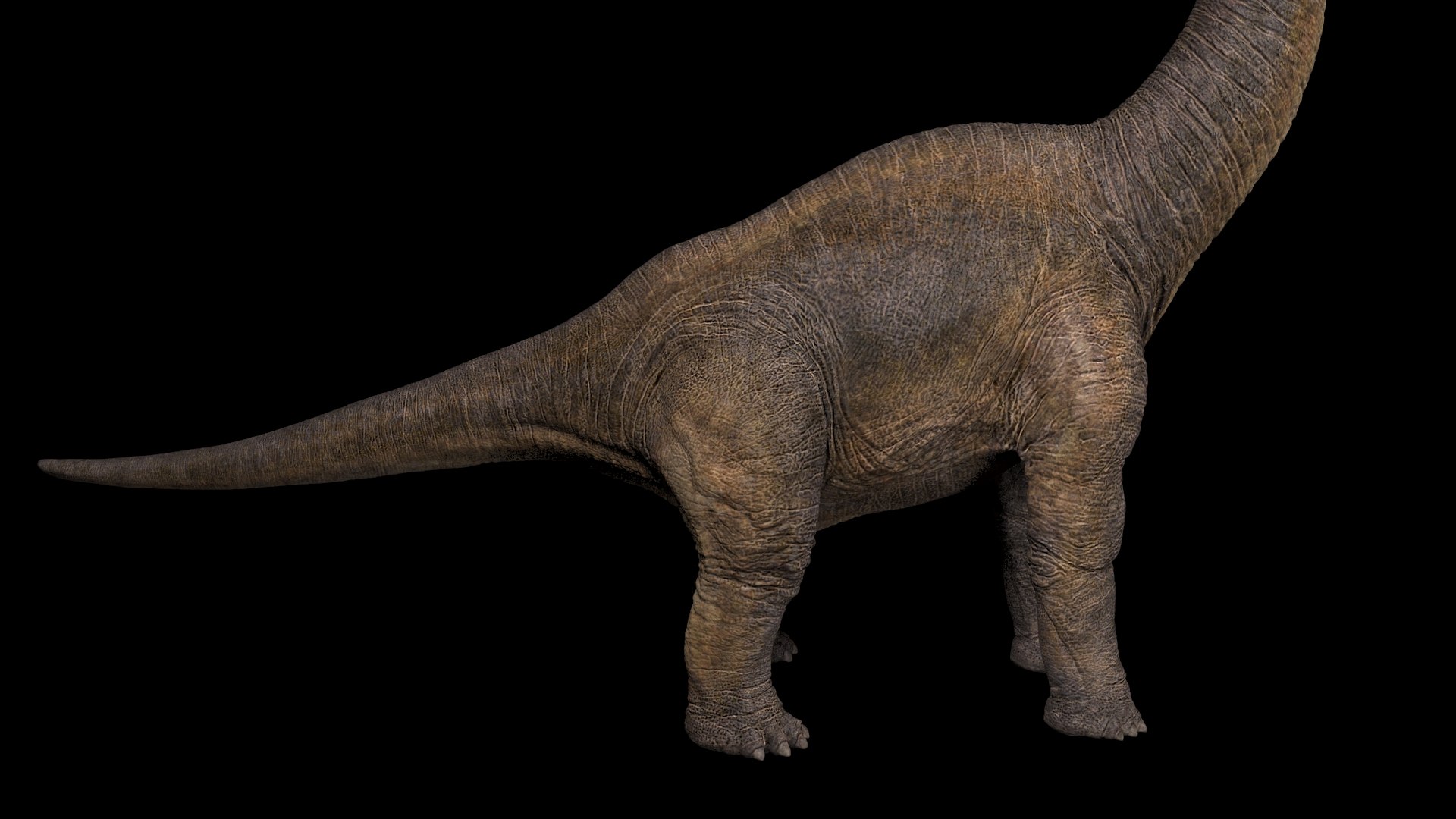 3D Model Brachiosaurus - TurboSquid 1209568