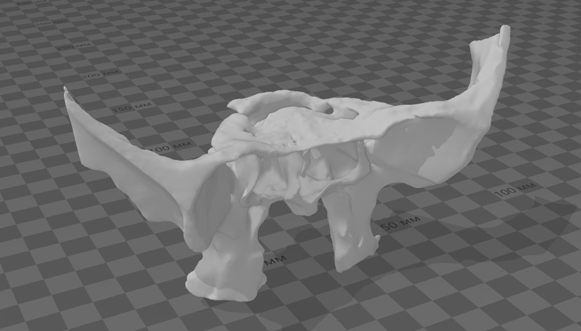 Sphenoid Bone 3D Model - TurboSquid 1469722