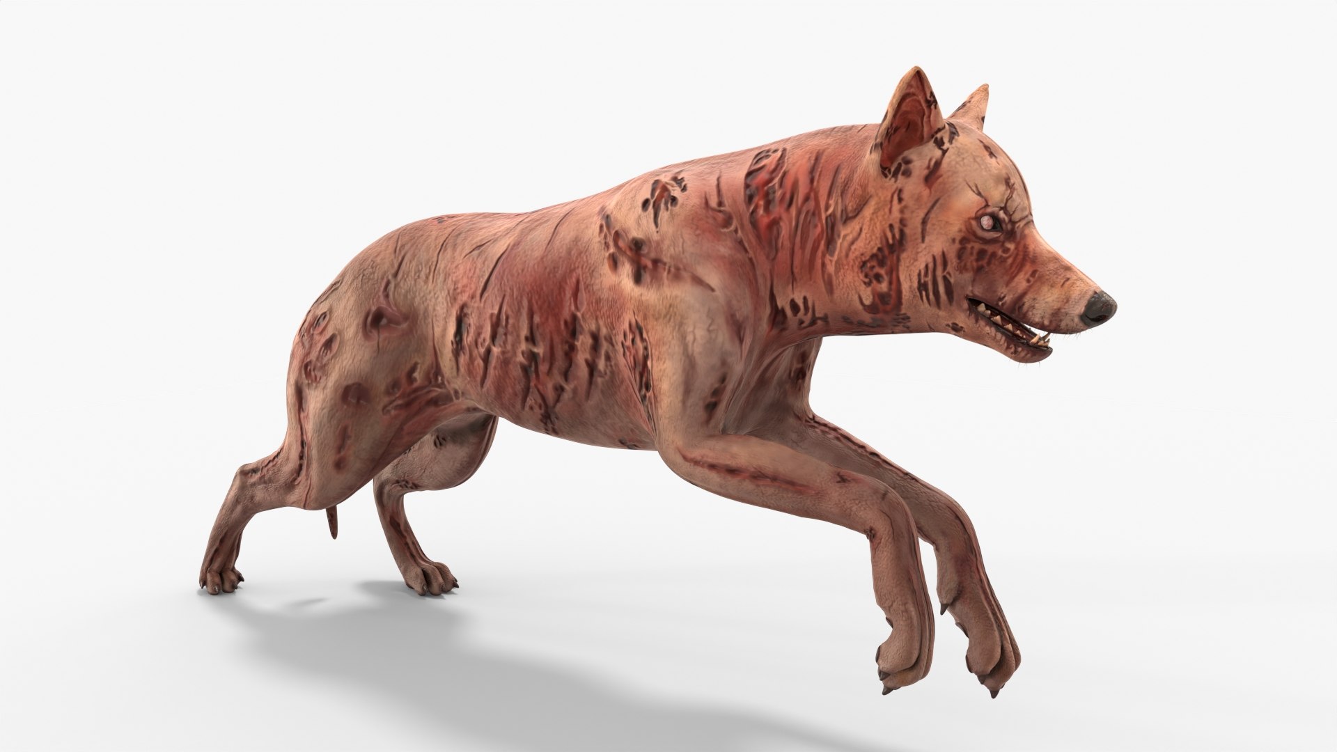 Zombie Dog Rigged 3D Model - TurboSquid 2148331