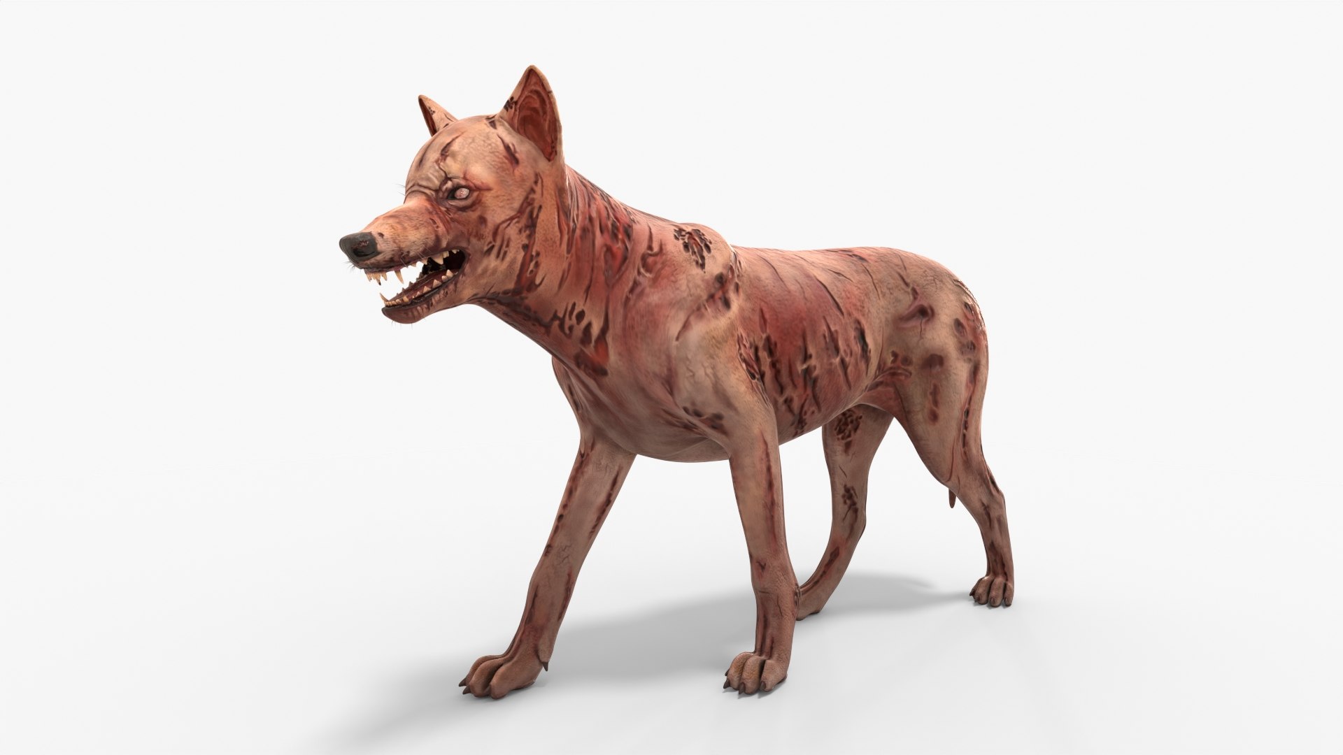 Zombie Dog Rigged 3D Model - TurboSquid 2148331