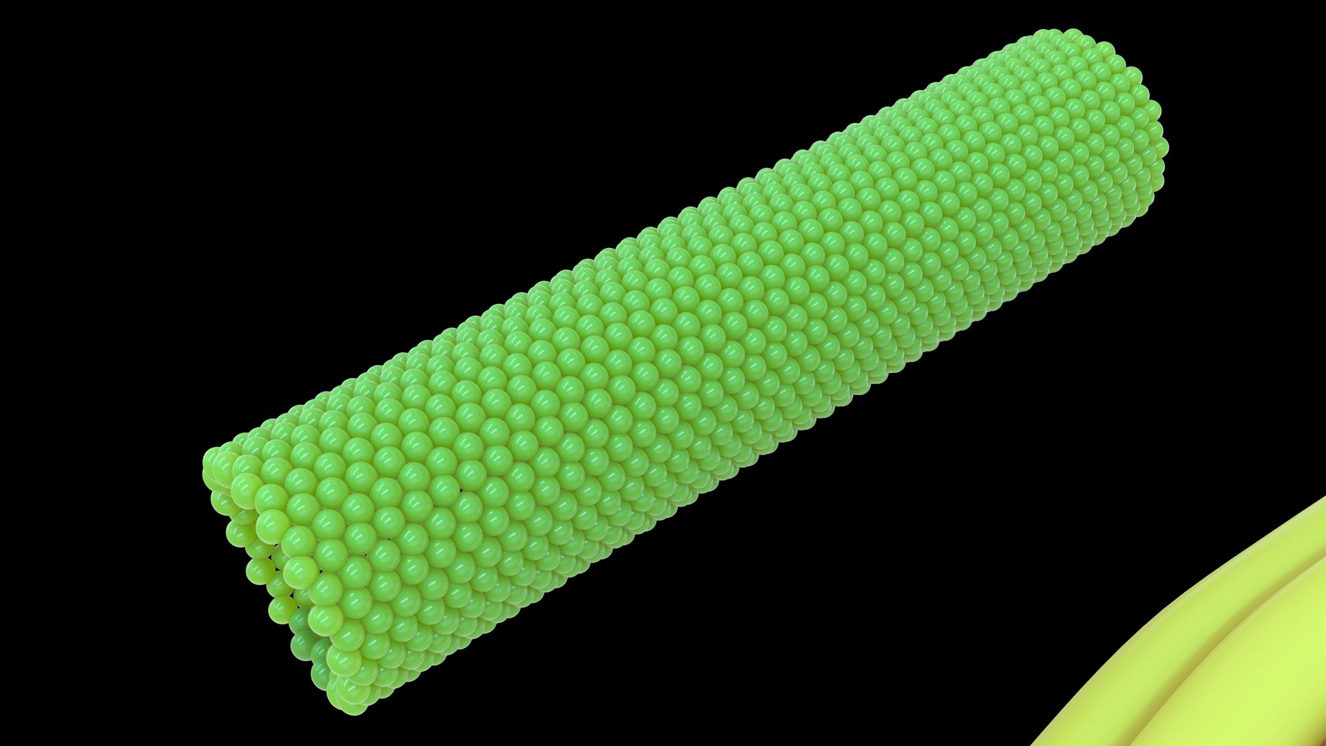 3D Model Microtubules Microfilaments And Intermediate Filaments ...