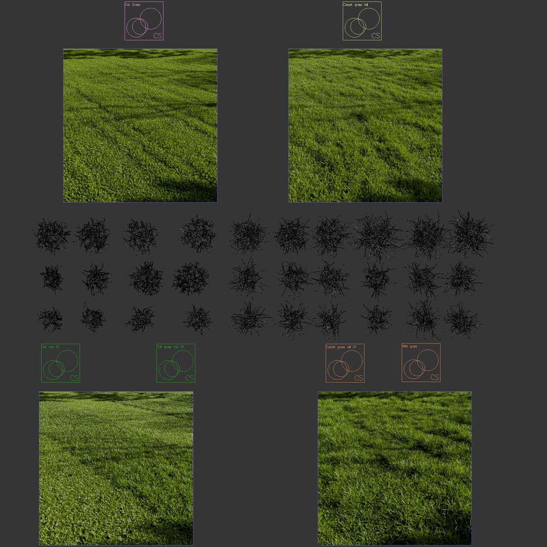 3D Gr 001 Lawn Grass - TurboSquid 1853750