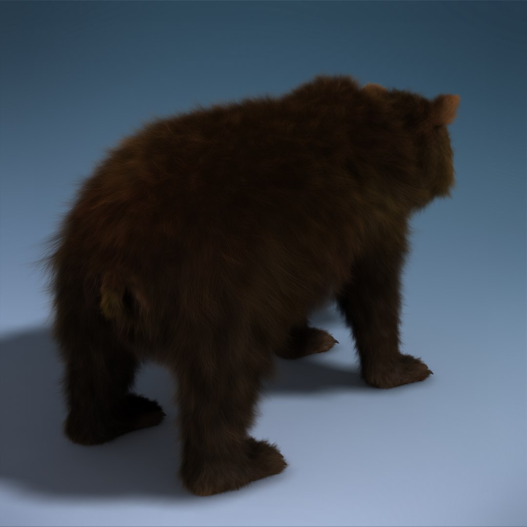 Bear Rigged - 3d Model