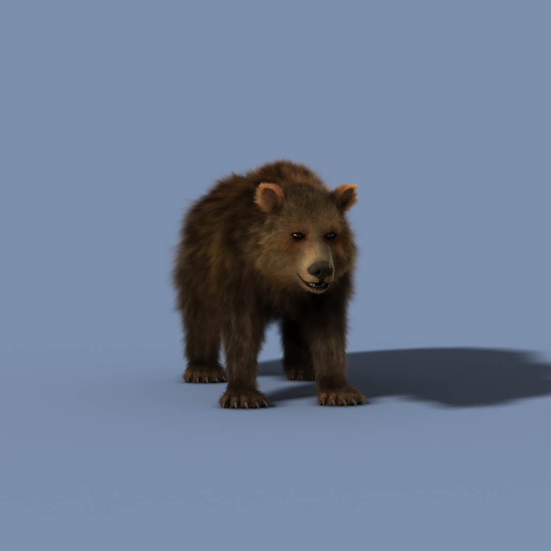 Bear Rigged - 3d Model