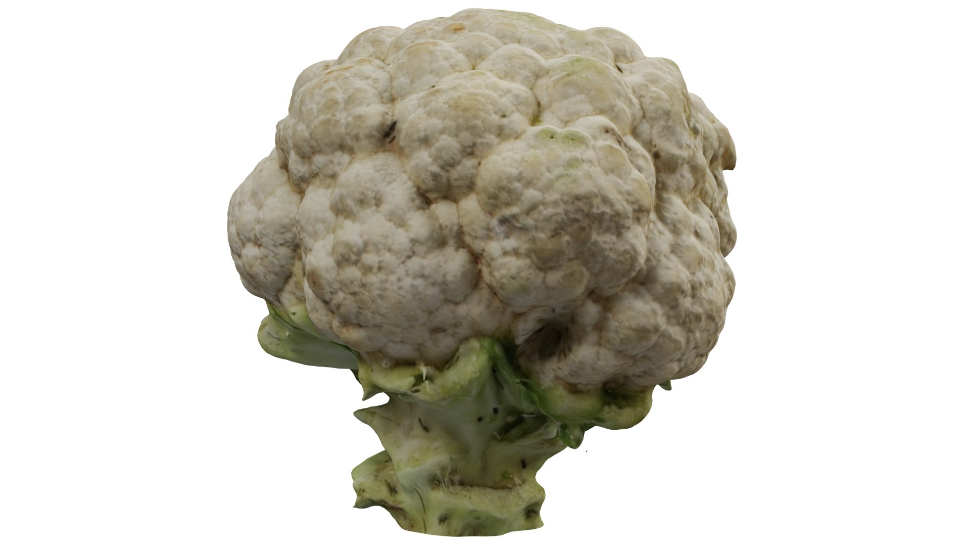 3D Cauliflower Model - TurboSquid 2224591