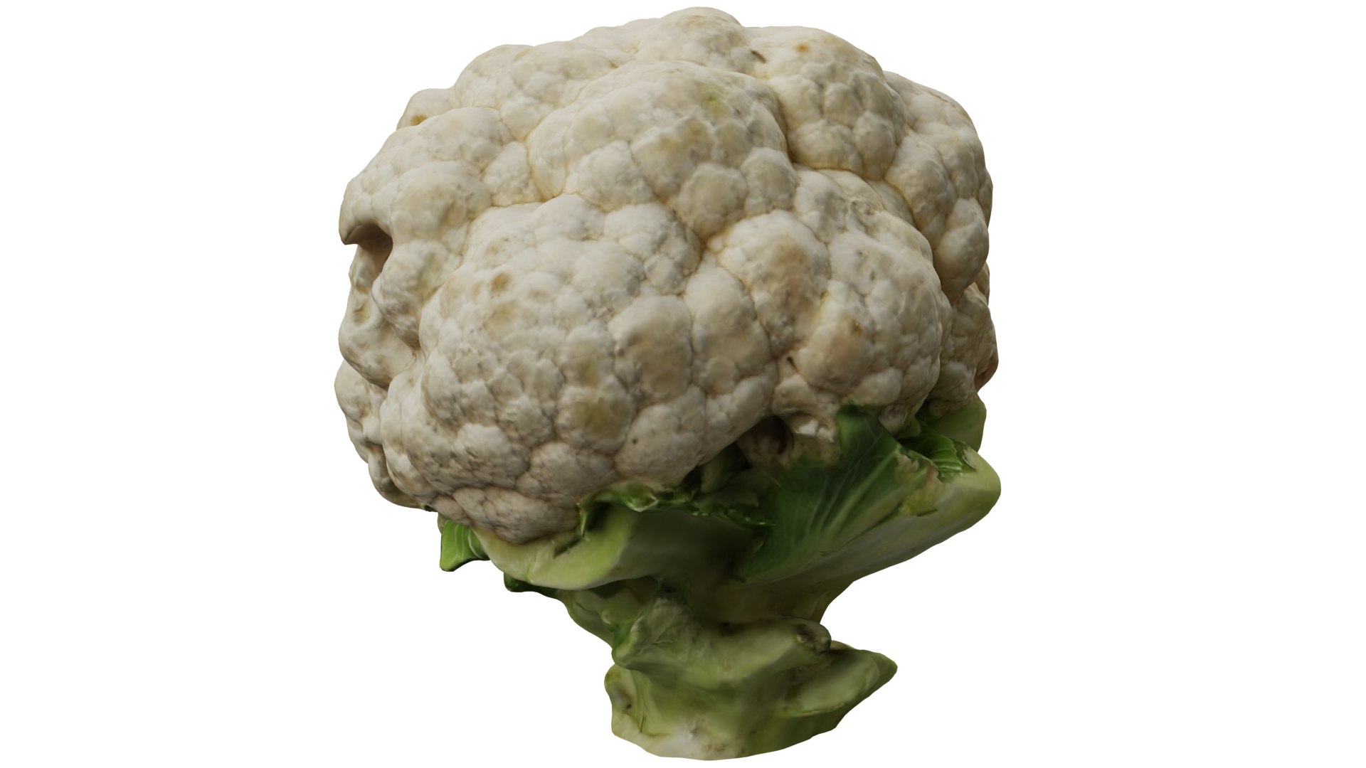 3D Cauliflower Model - TurboSquid 2224591