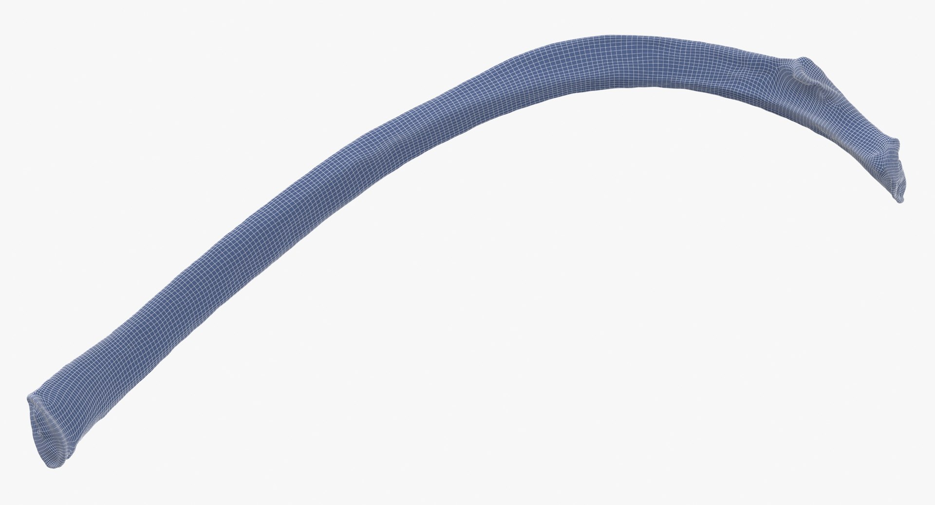 3D Model Kangaroo Red Necked Wallaby Rib T10 - TurboSquid 2069492