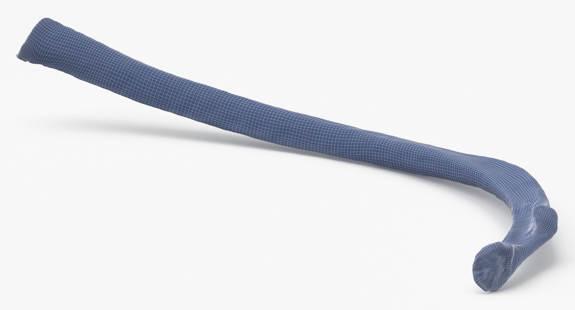 3D Model Kangaroo Red Necked Wallaby Rib T10 - TurboSquid 2069492