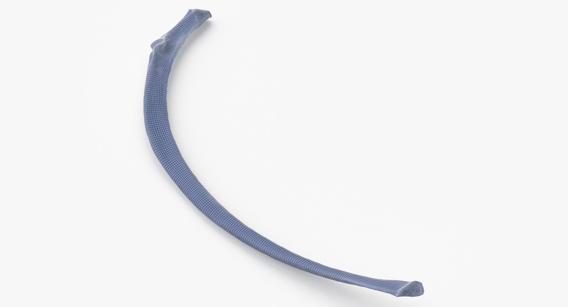 3D Model Kangaroo Red Necked Wallaby Rib T10 - TurboSquid 2069492