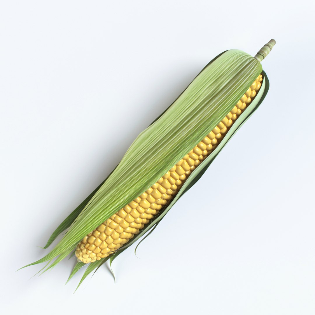 3d Realistic Corn