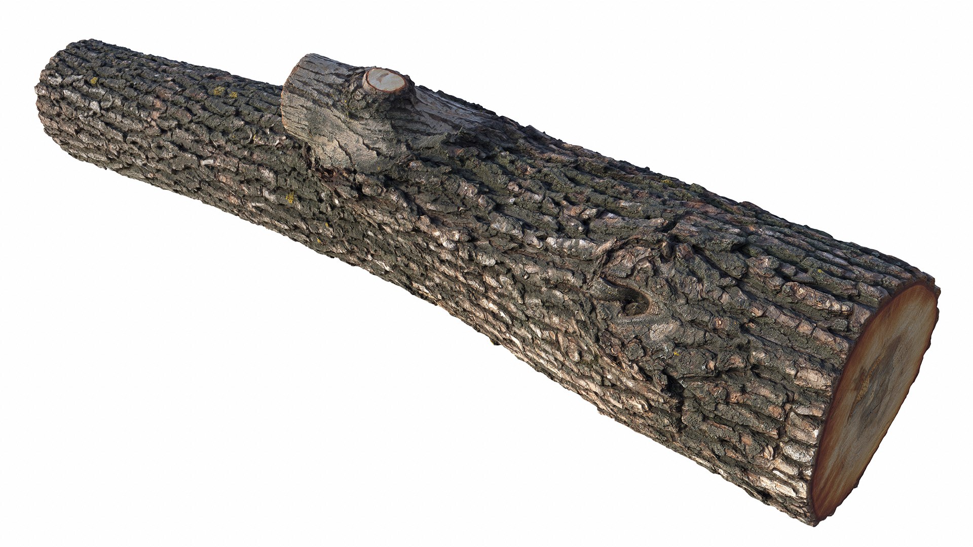 Wood Log 3D Model - TurboSquid 1965476