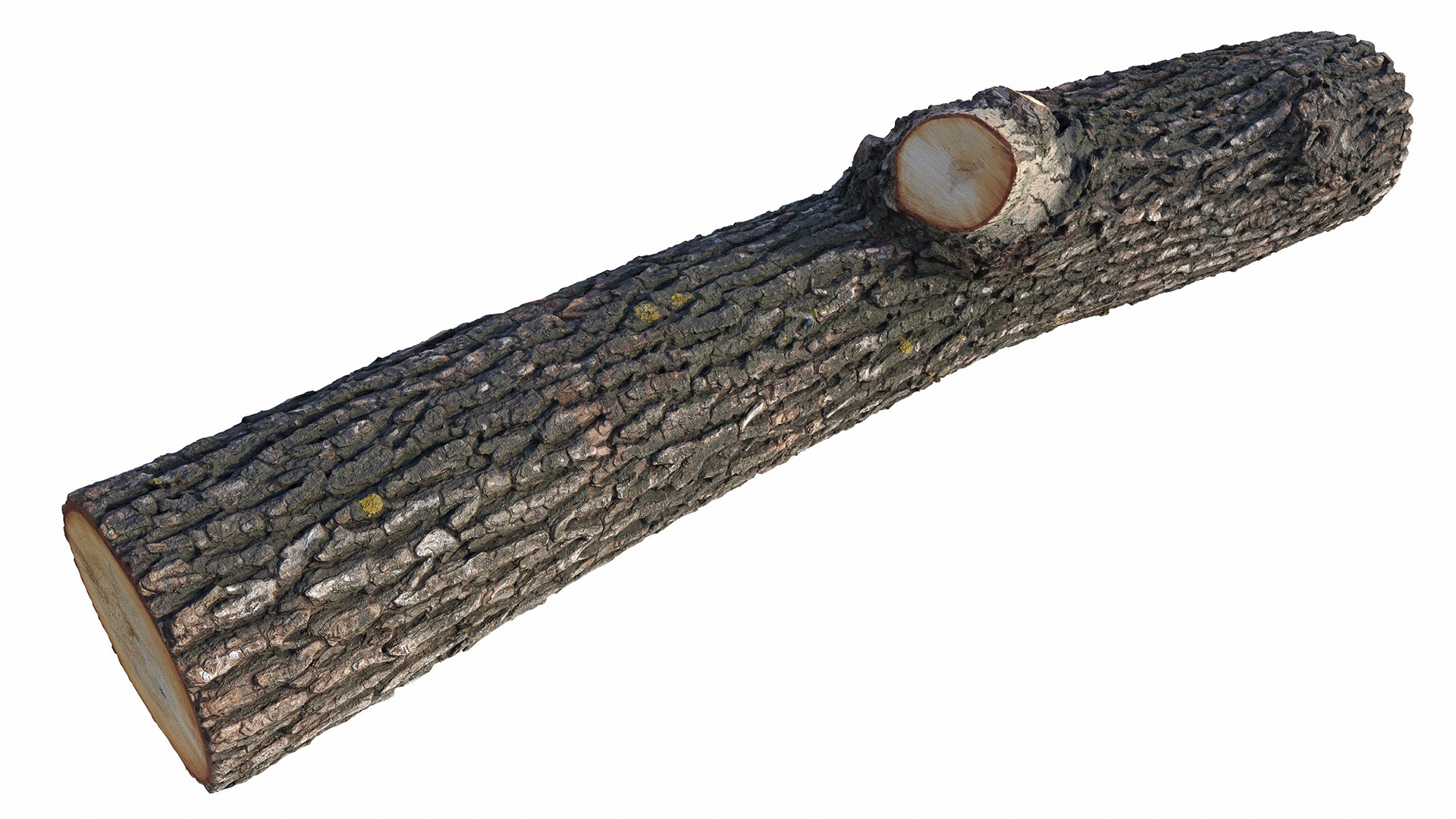 Wood Log 3D Model - TurboSquid 1965476