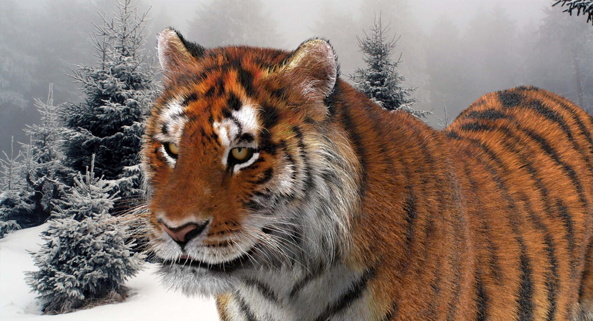 amur tiger fur cat 3d model
