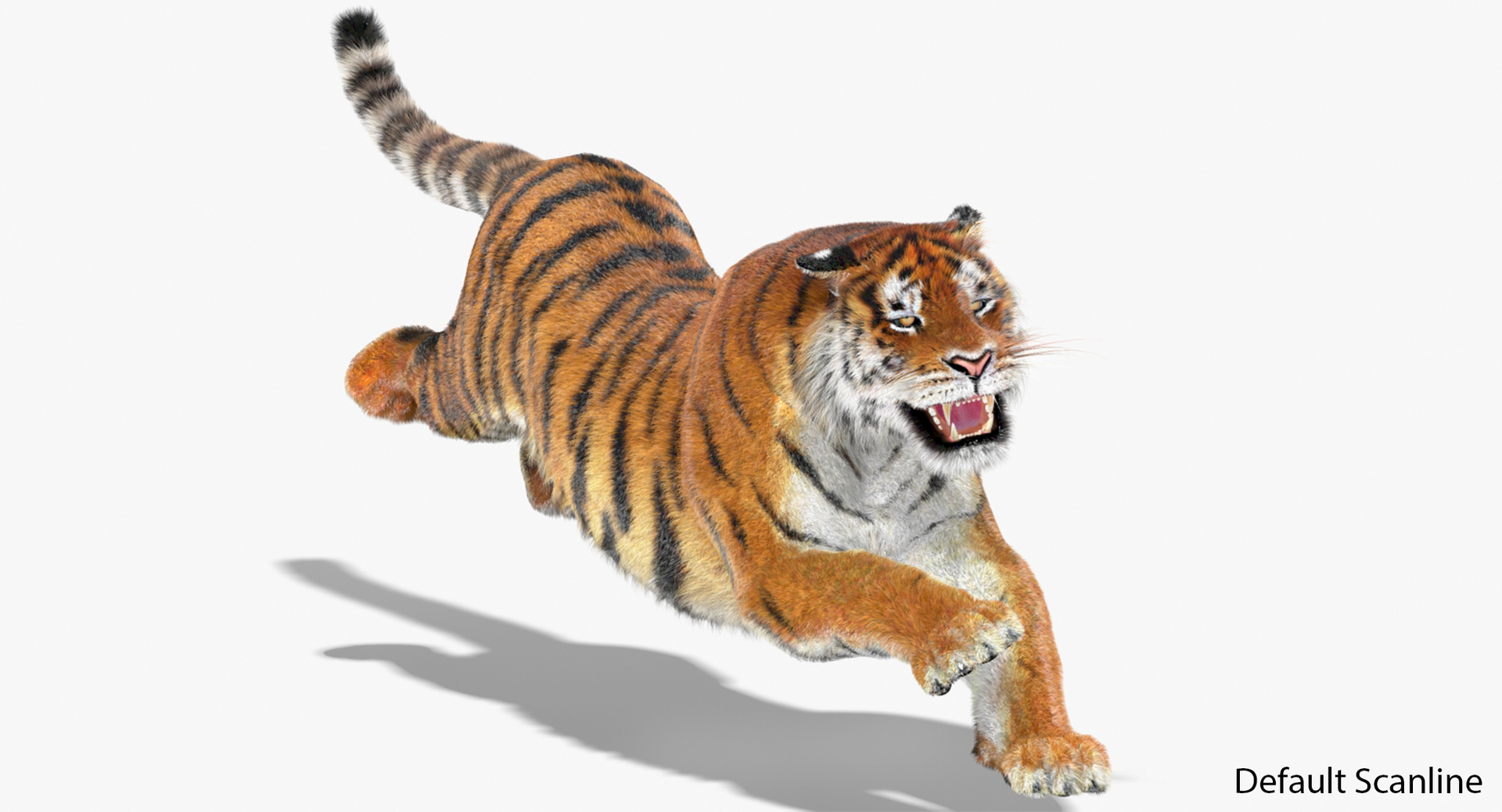 amur tiger fur cat 3d model