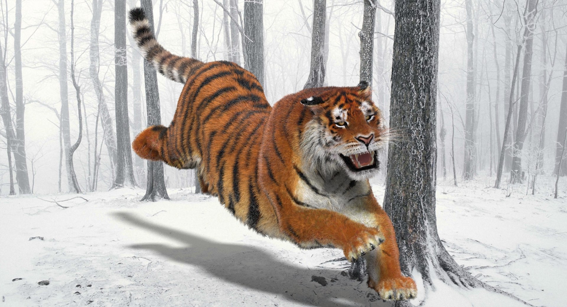 Amur Tiger Fur Cat 3d Model